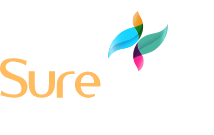Pulsed Electric Field, made easy to understand